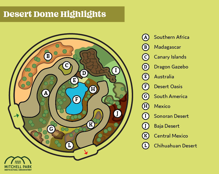 Mitchell Park Domes - Desert Dome